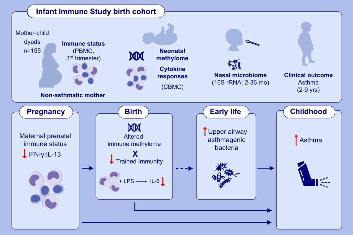 RESEARCH – Vercelli Laboratory at the University of Arizona